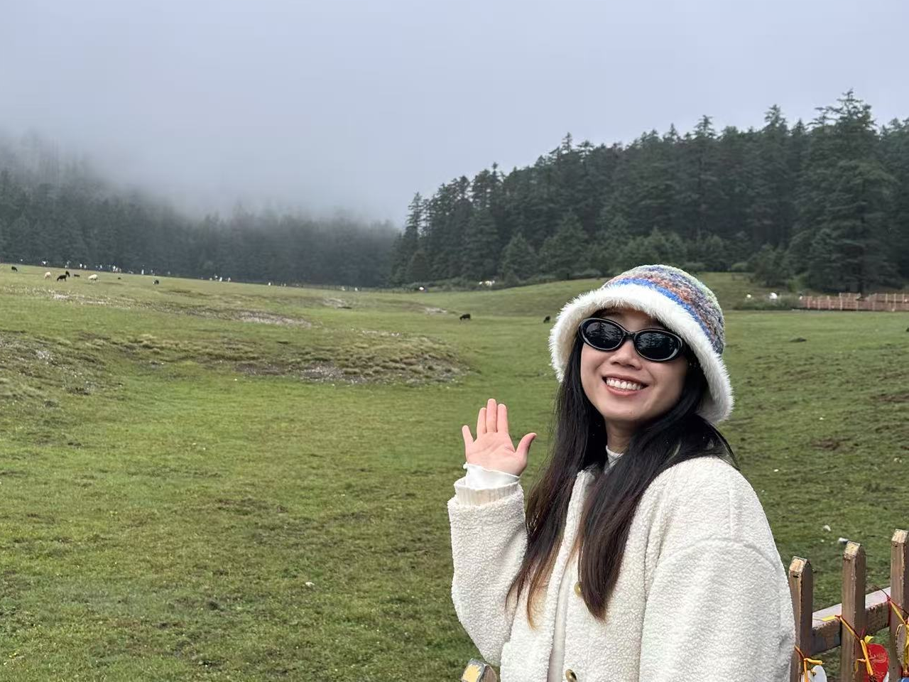 科学图像分析平台 - 专业的Python和ImageJ图像处理解决方案